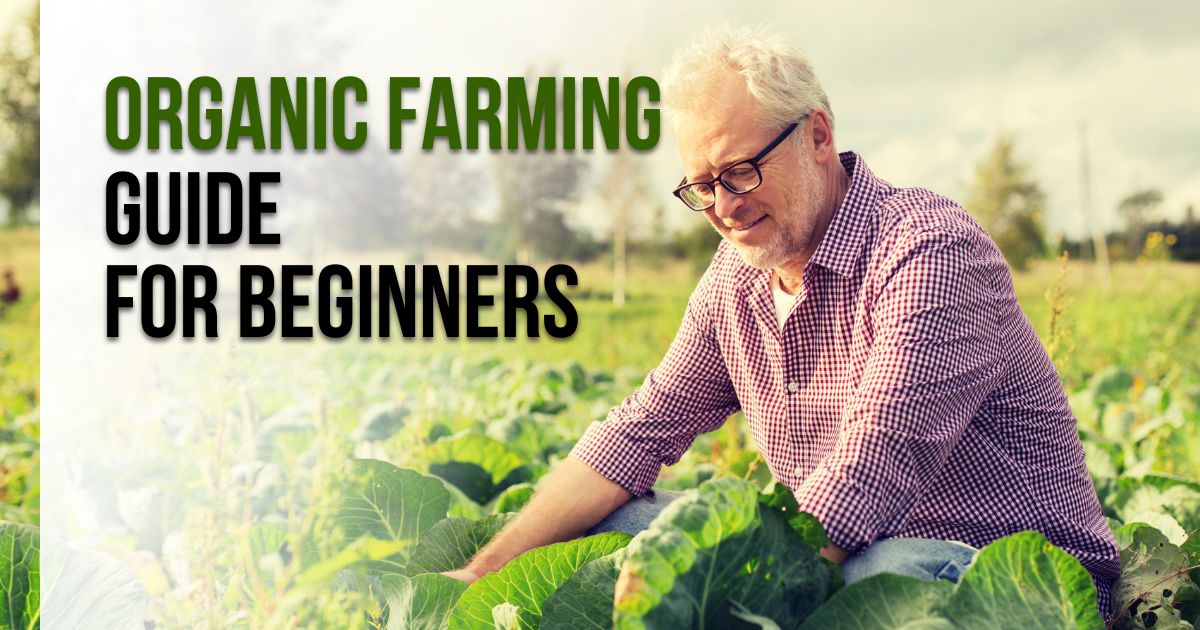 Grow Your Own Organic Garden: Beginner's Guide to Farming